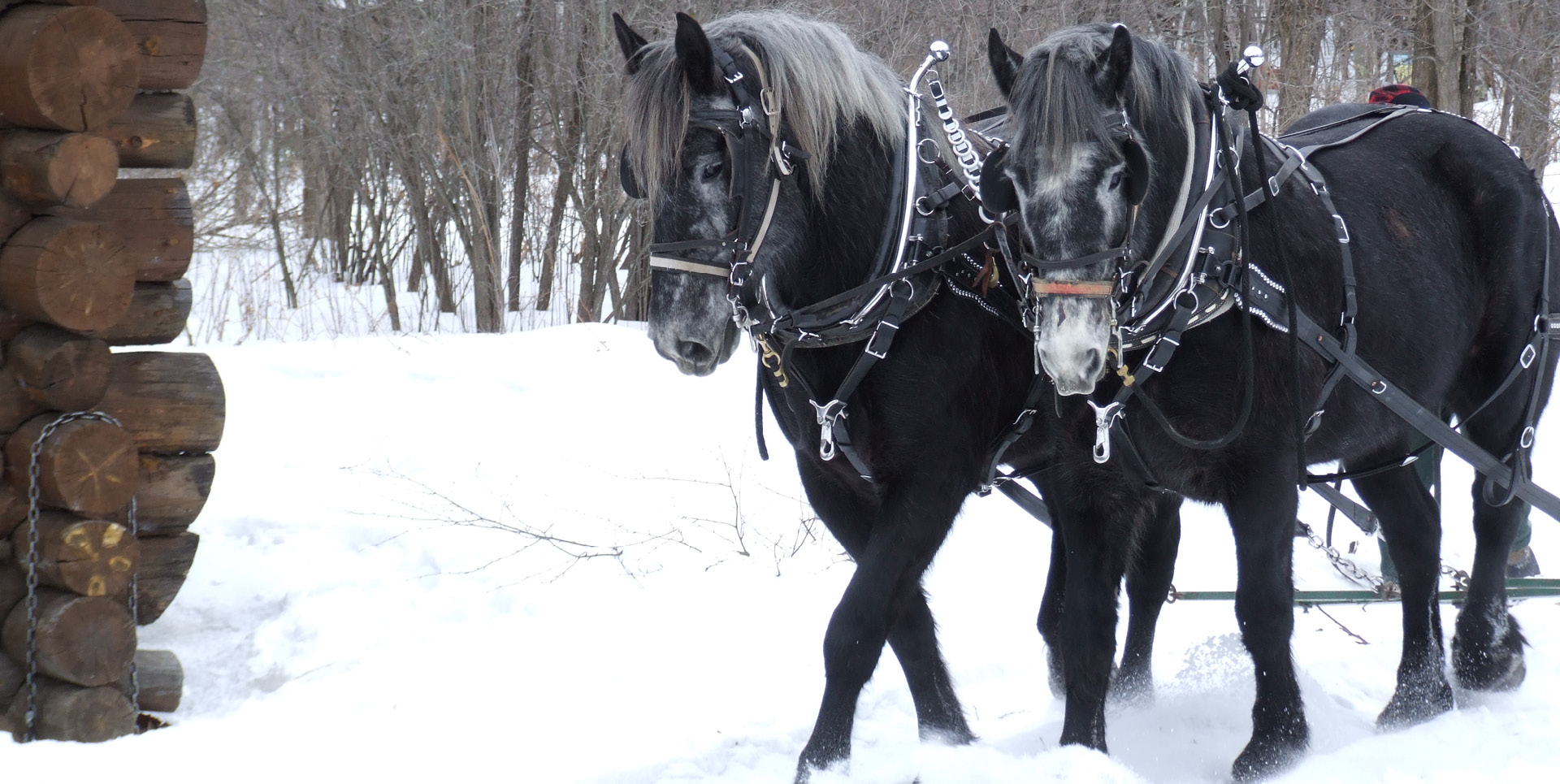 Learn | Minnesota Historical Society