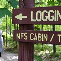 Forest History Center | Minnesota Historical Society